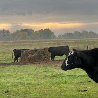 Eight Acres & Bakers – From the farm and oven, to your plate.