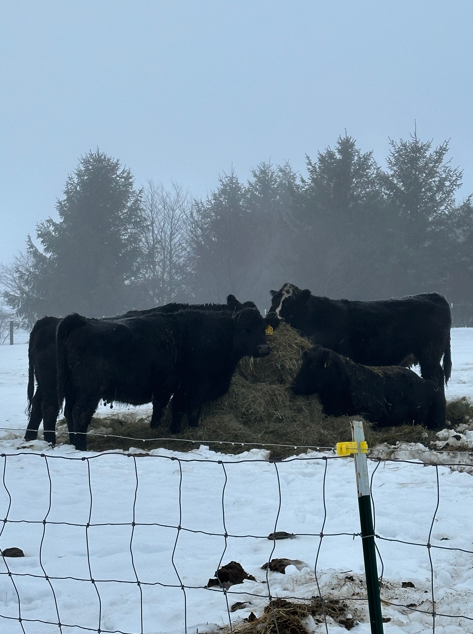 Eight Acres & Bakers – From the farm and oven, to your plate.