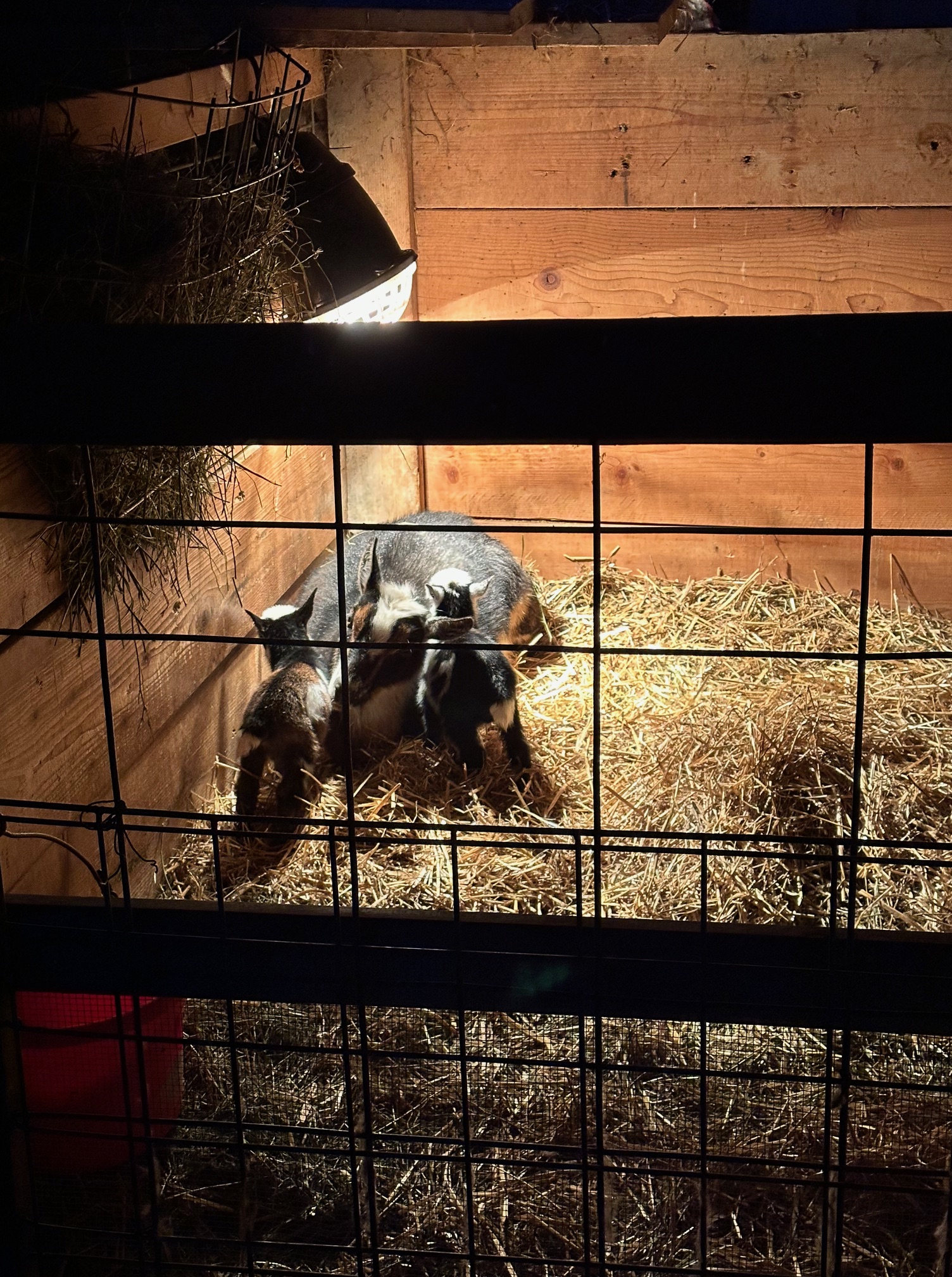 The Farm – Eight Acres & Bakers