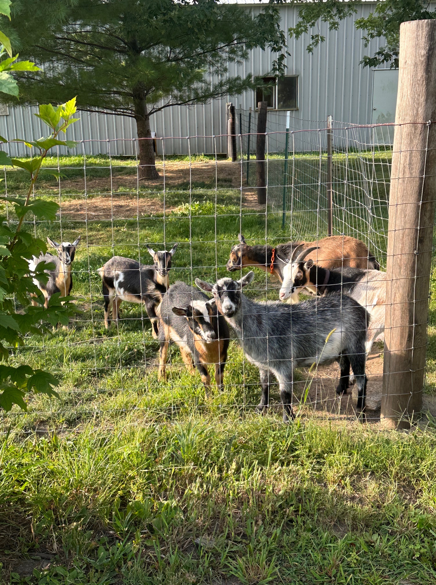 The Farm – Eight Acres & Bakers